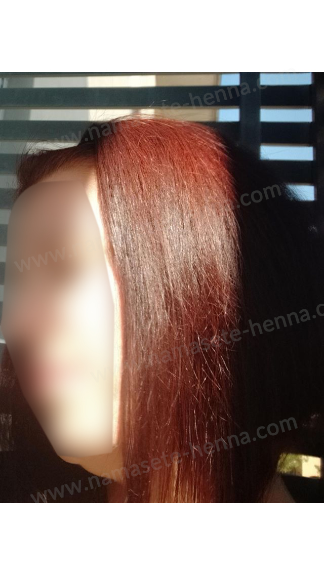 Henna del Yémen y Sándalo, un caoba especial. - Namaste-Henna